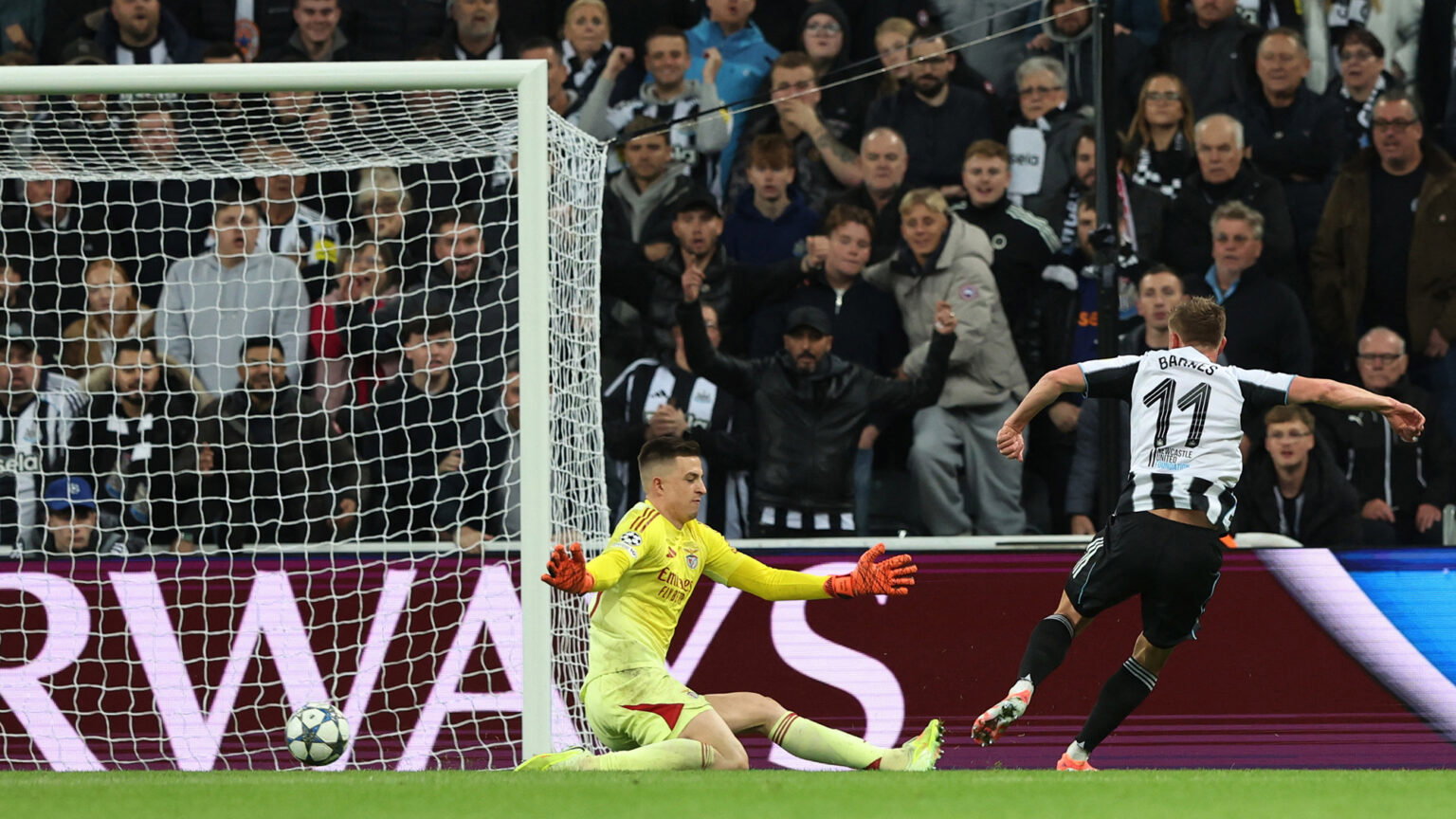 Welcome to bench power at Newcastle United - NUFC The Mag