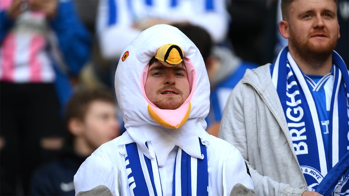 Brighton spectacular collapse in latest twist of the race for Premier ...
