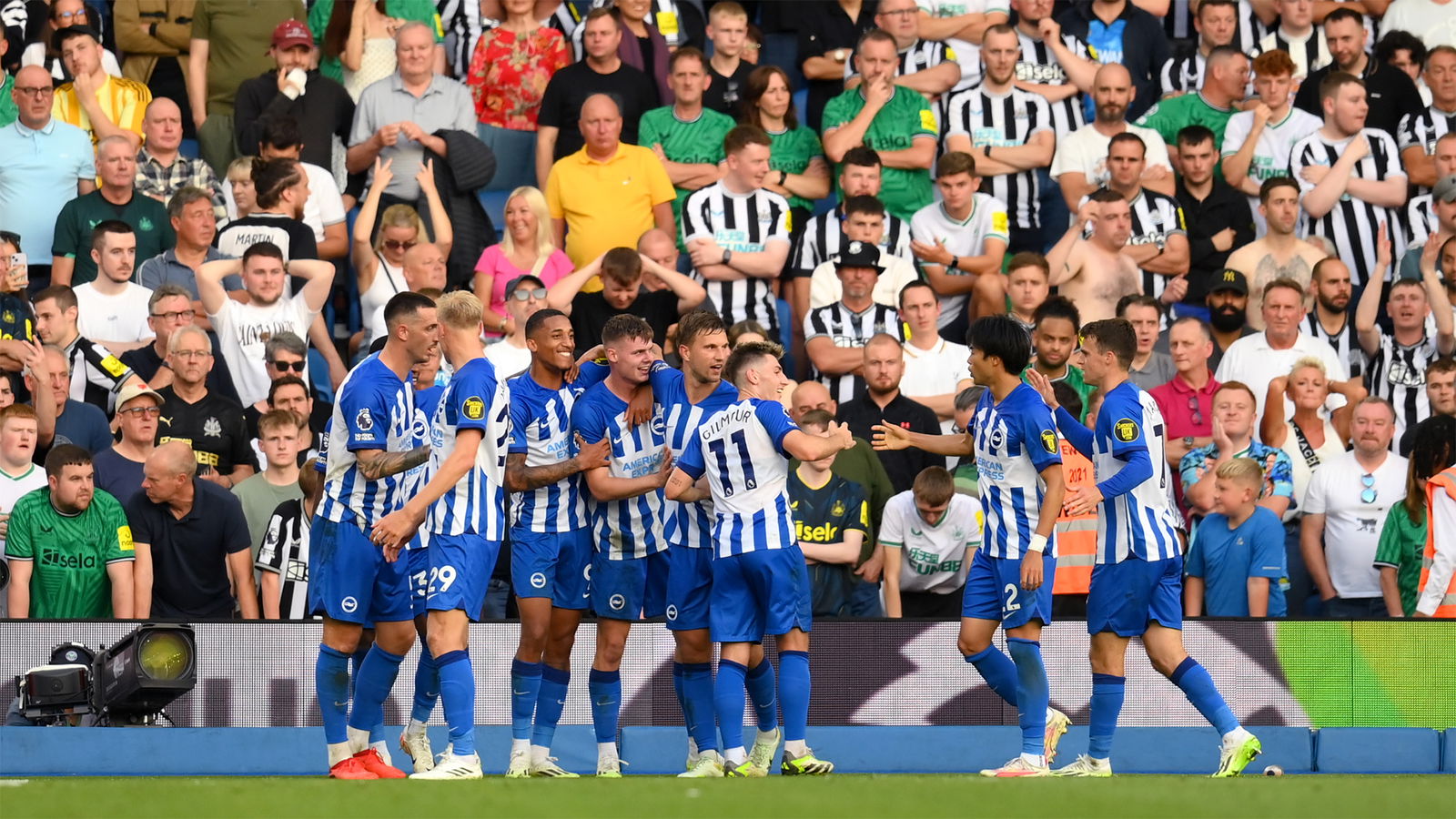 Brighton 3 Newcastle 1 - Very interesting independent ratings on the ...