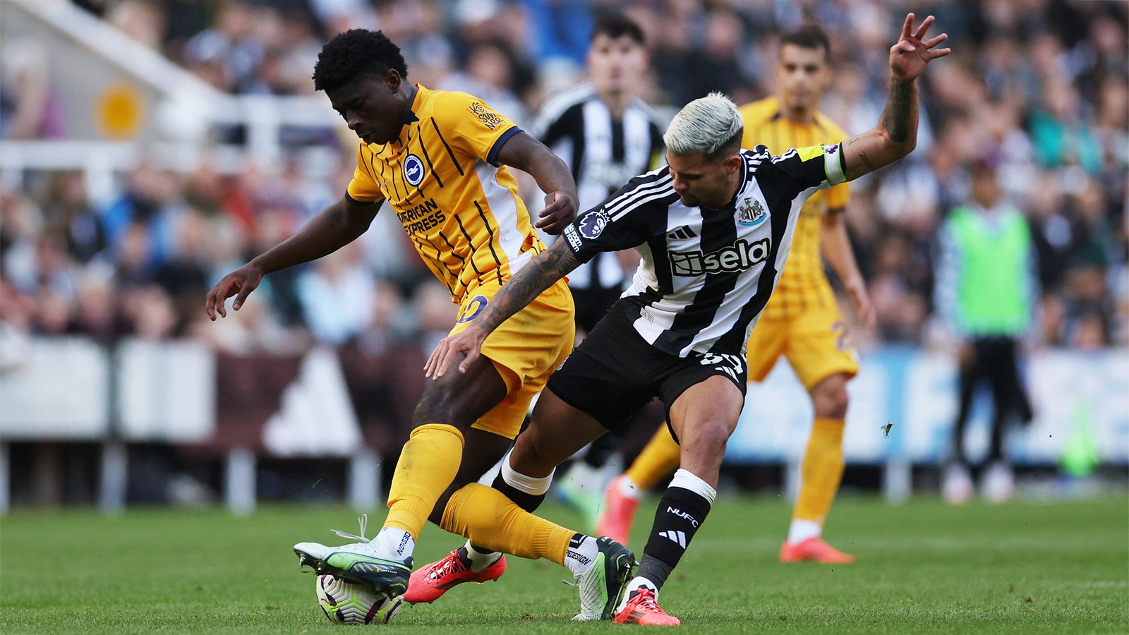 Premier League duellists - Newcastle United star only one place off ...