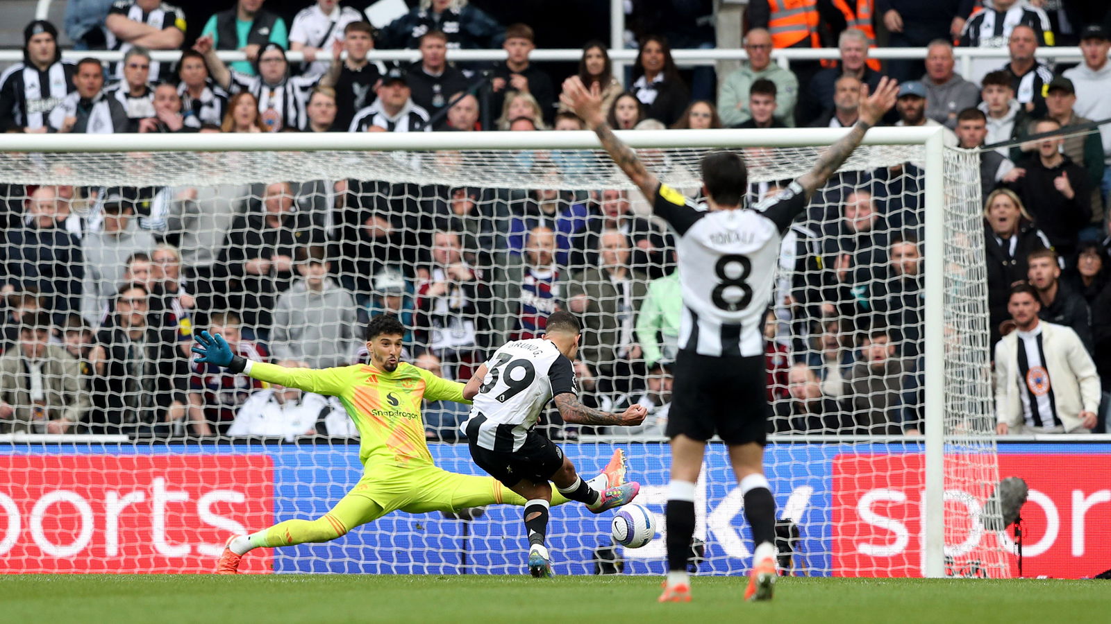 Sandro Tonali knows - NUFC The Mag