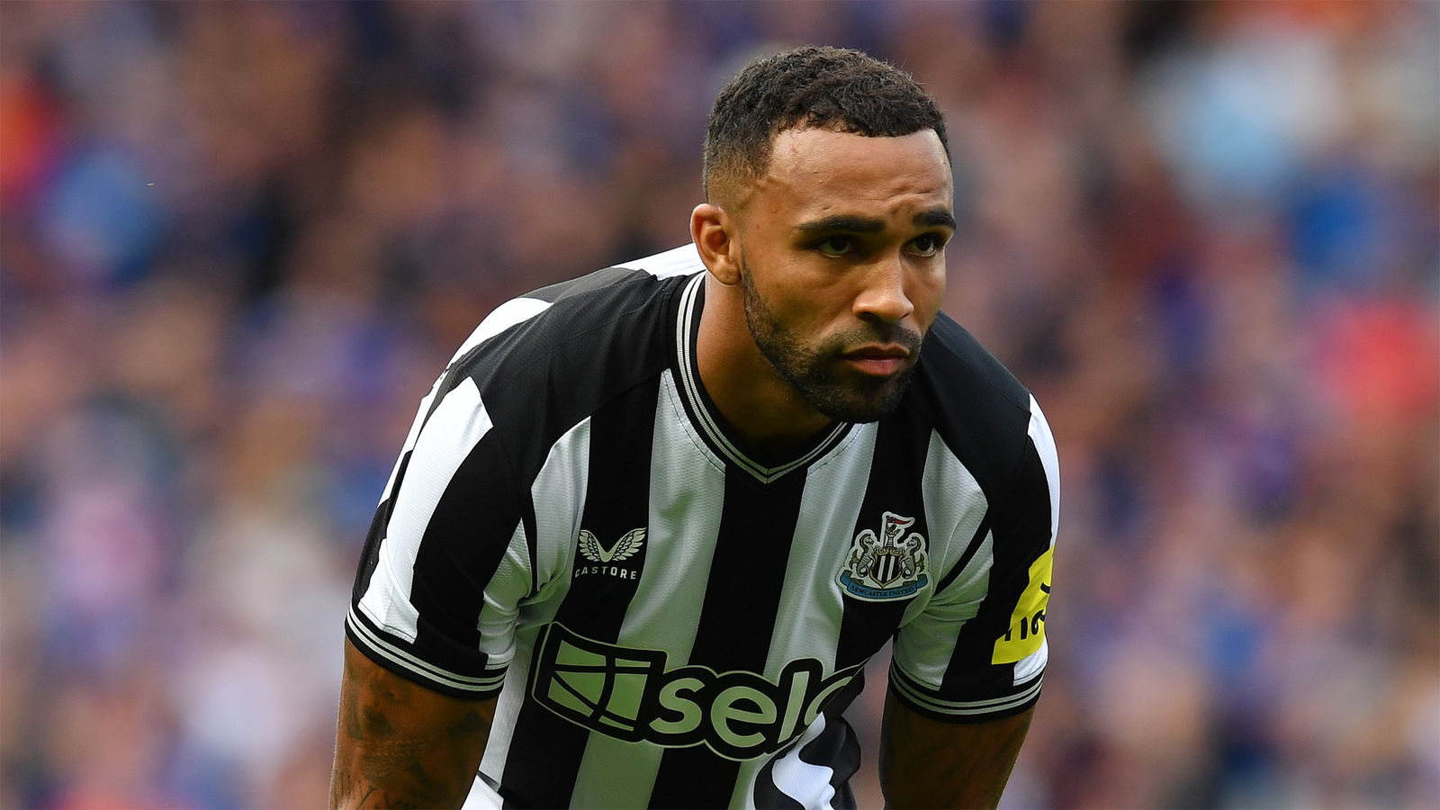 Callum Wilson talks about Newcastle United expectations and lessons to ...