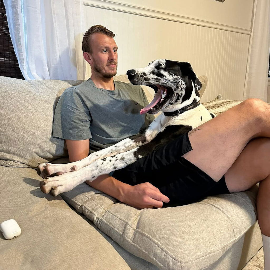 Dan Burn claims are just daft - NUFC The Mag