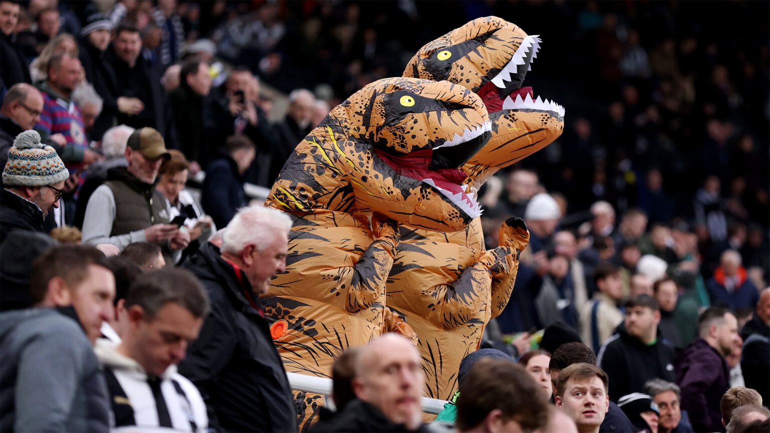 I met a veteran Spurs fan - An interesting conversation with Wednesday ...