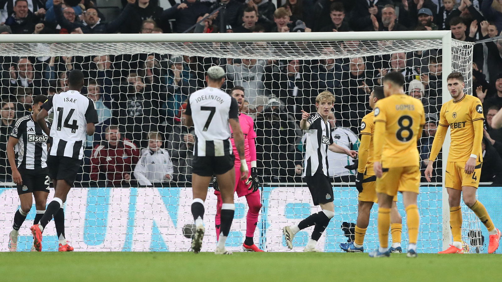 Newcastle 3 Wolves 0 - Interesting independent ratings on Newcastle ...