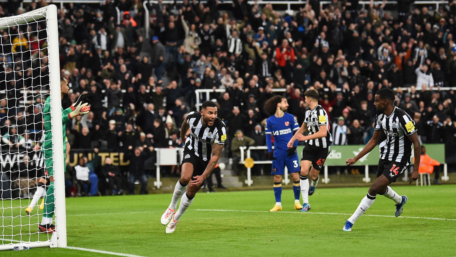 Jamaal Lascelles could be leaving Newcastle United for Besiktas - New ...