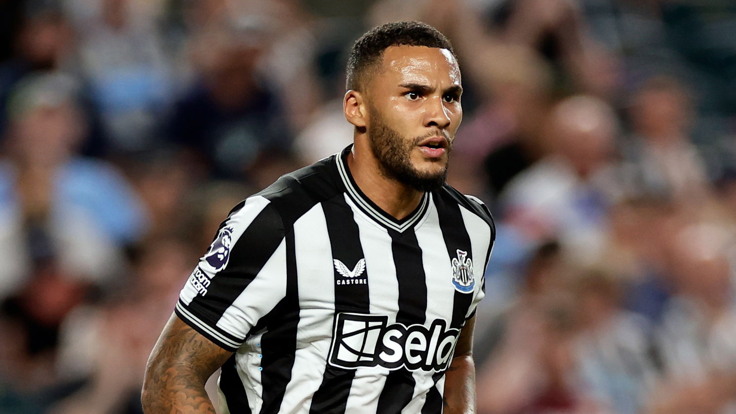 Northumbria Police release statement after gang of eight allegedly ...