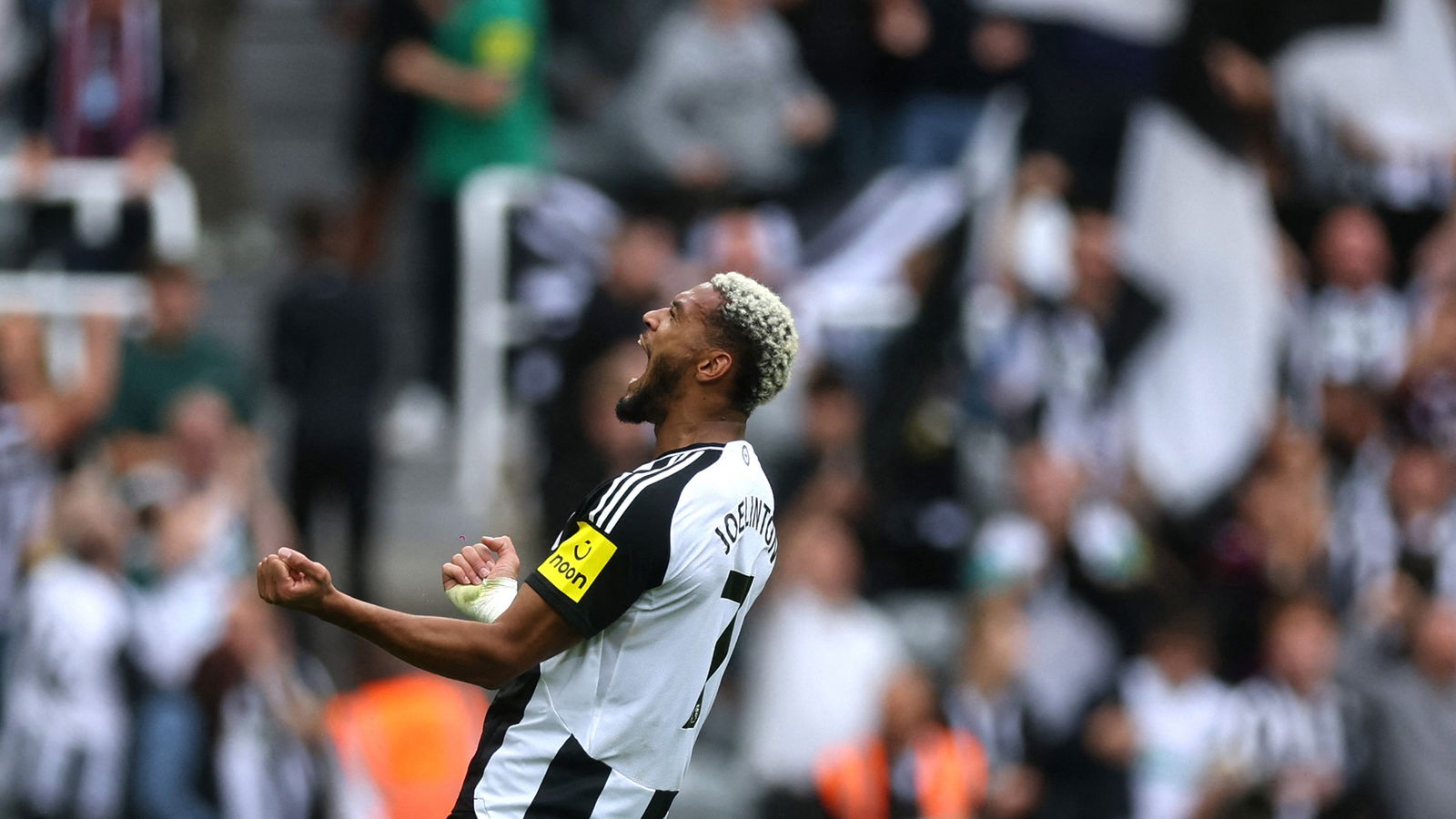 Newcastle United enjoy best start to season for 13 years - Here’s the ...