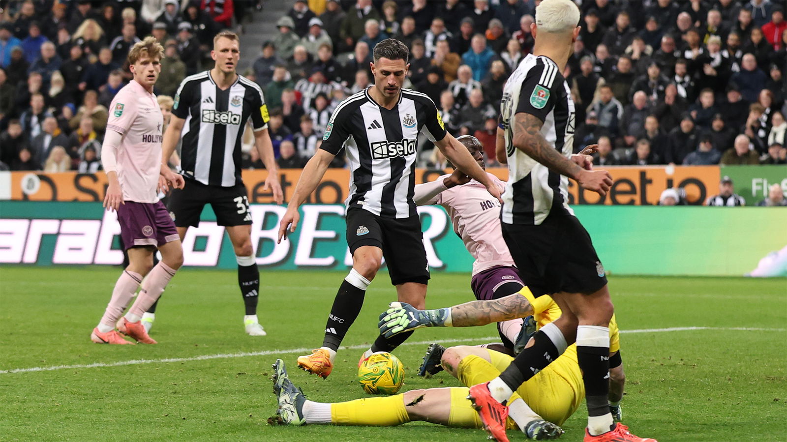 Here’s the photo that all Newcastle United fans are absolutely loving ...