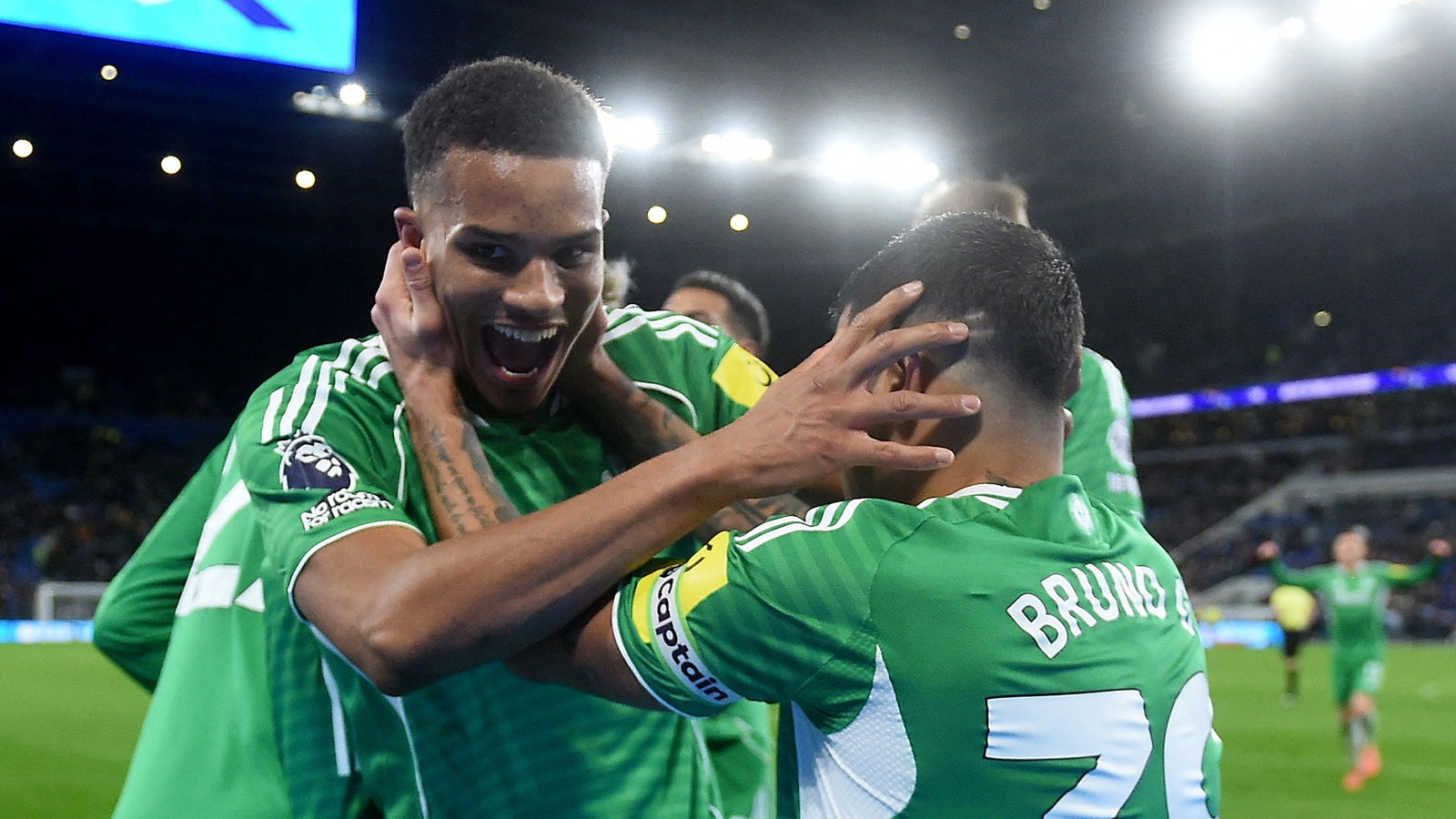 Everton 1 Newcastle 4 match ratings and comments on all Newcastle ...