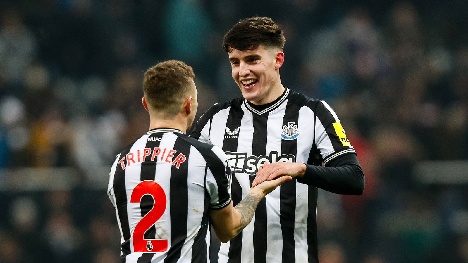 Newcastle United star rated Premier League player of the week - NUFC ...
