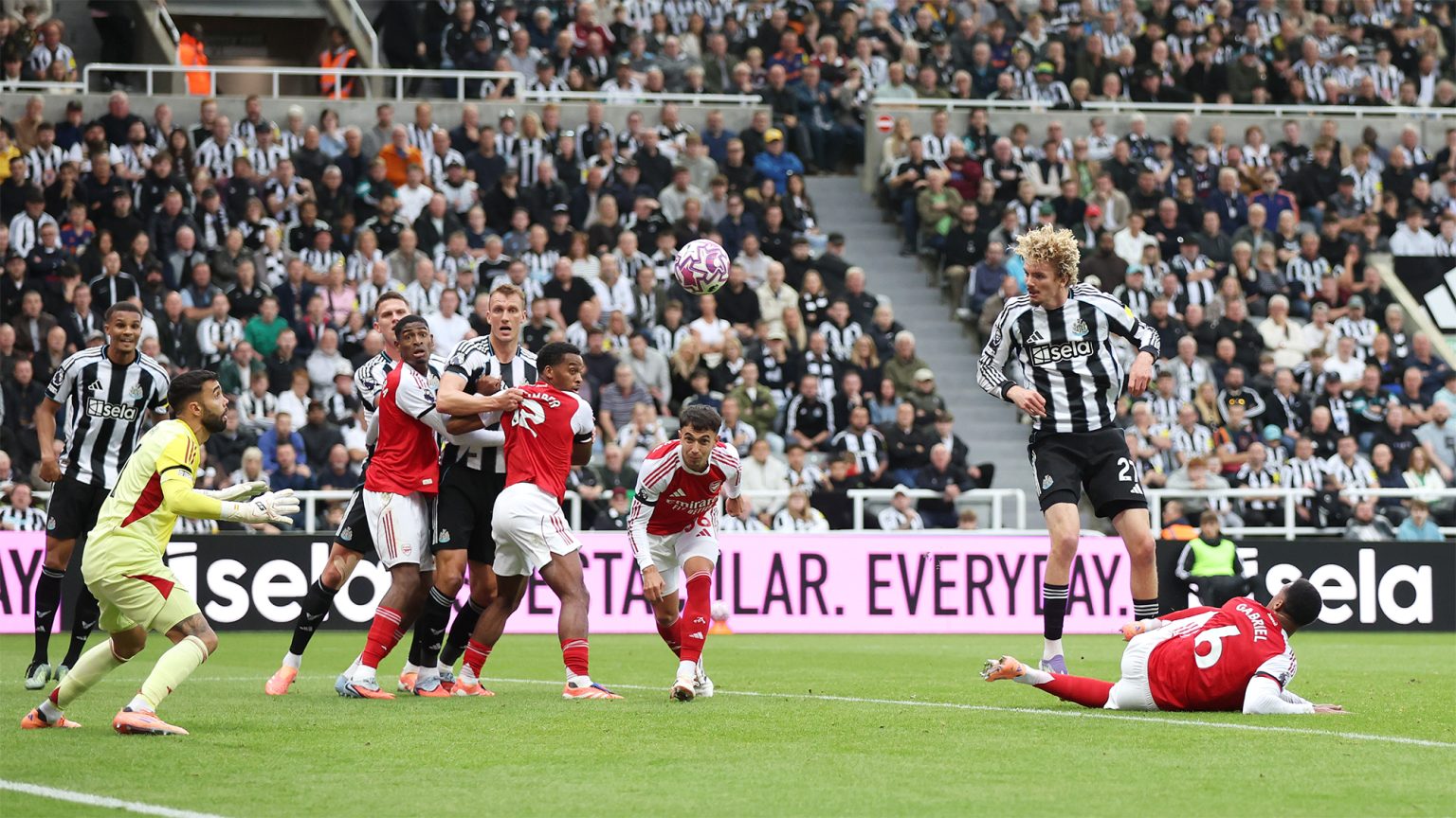 Newcastle 1 Arsenal 2 - Match ratings and comments on all Newcastle ...