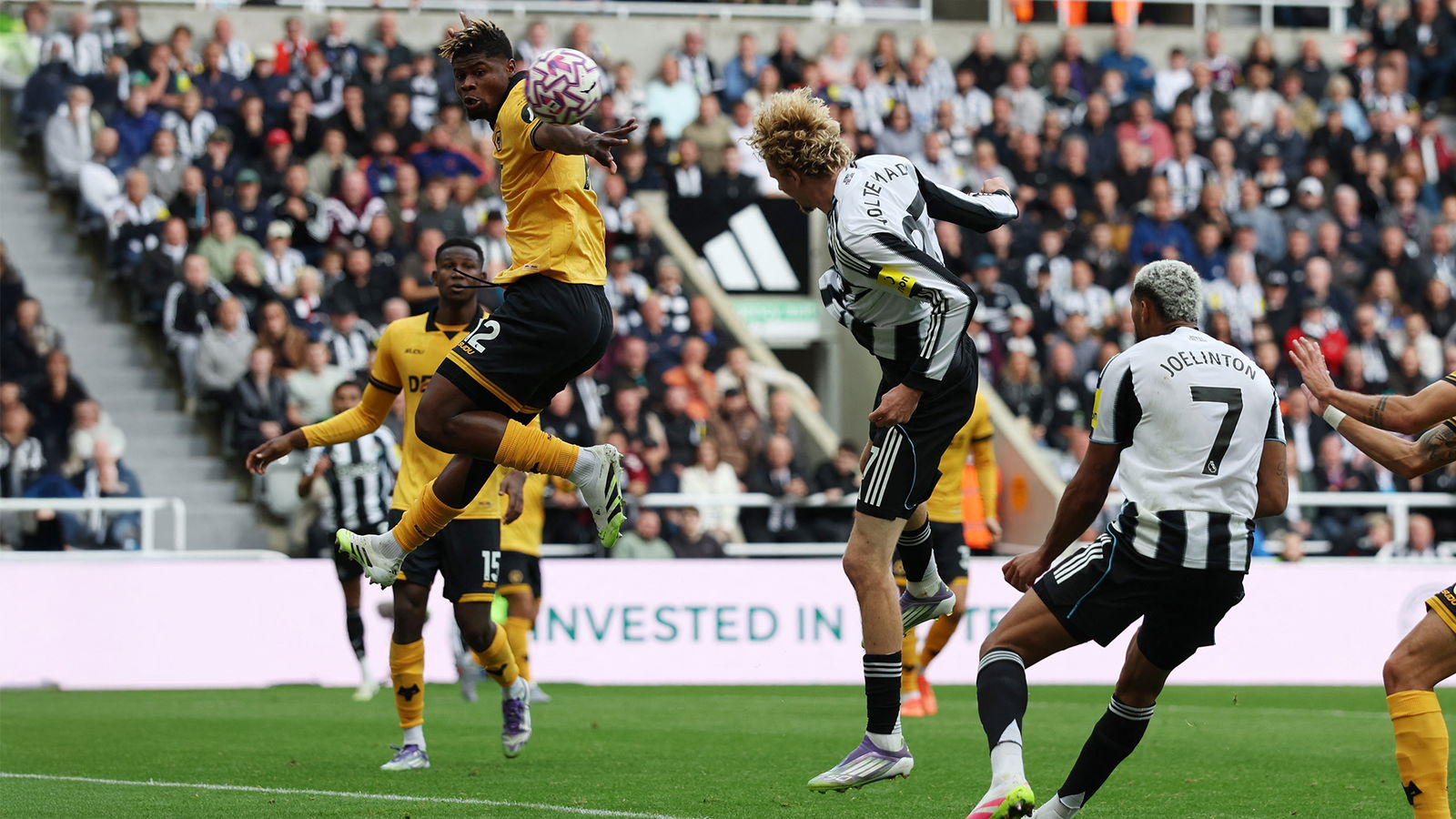 Expected Goals stats tell the very real story after Newcastle 1 Wolves ...